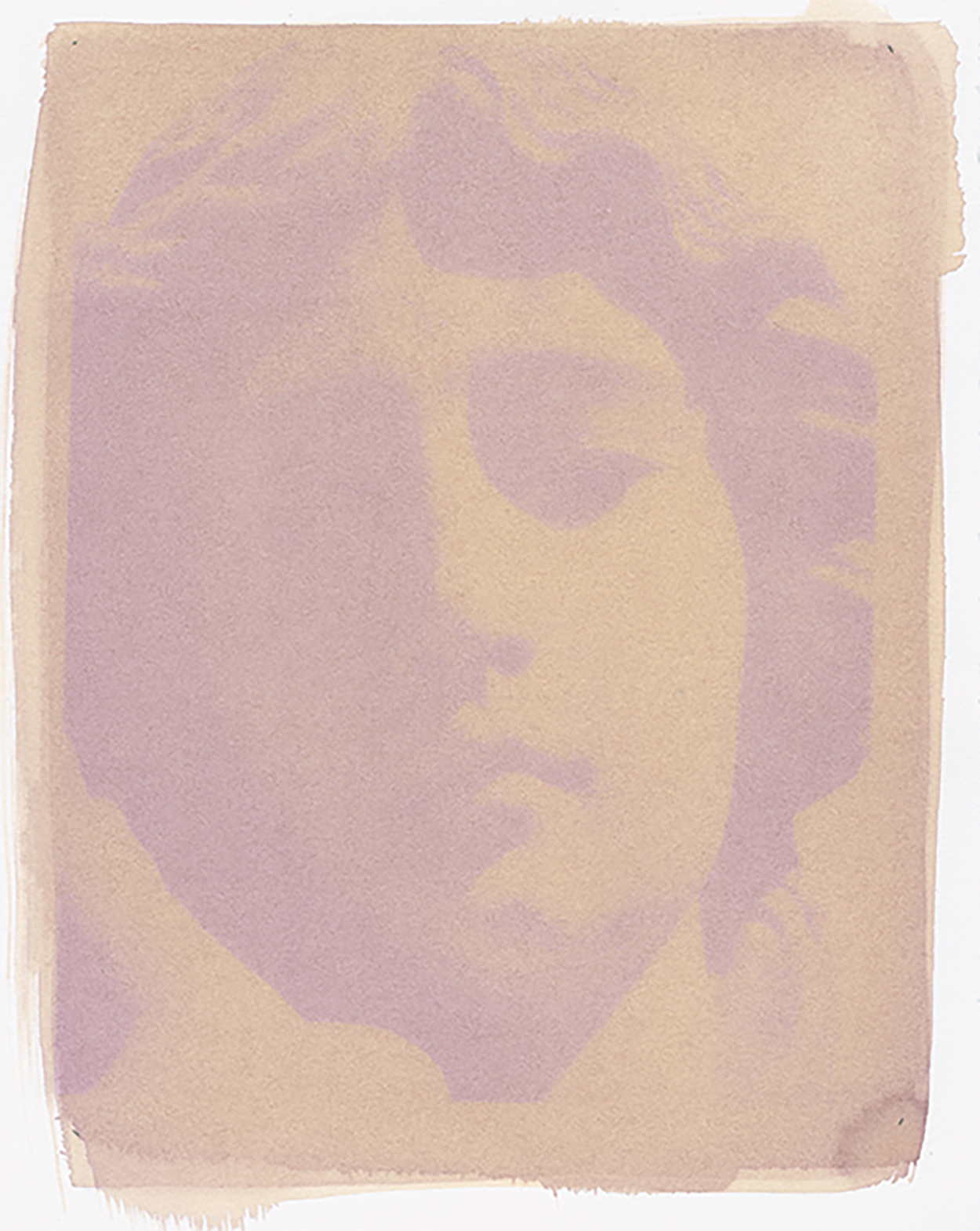 Cameron Young - Photographer - Anthotypes