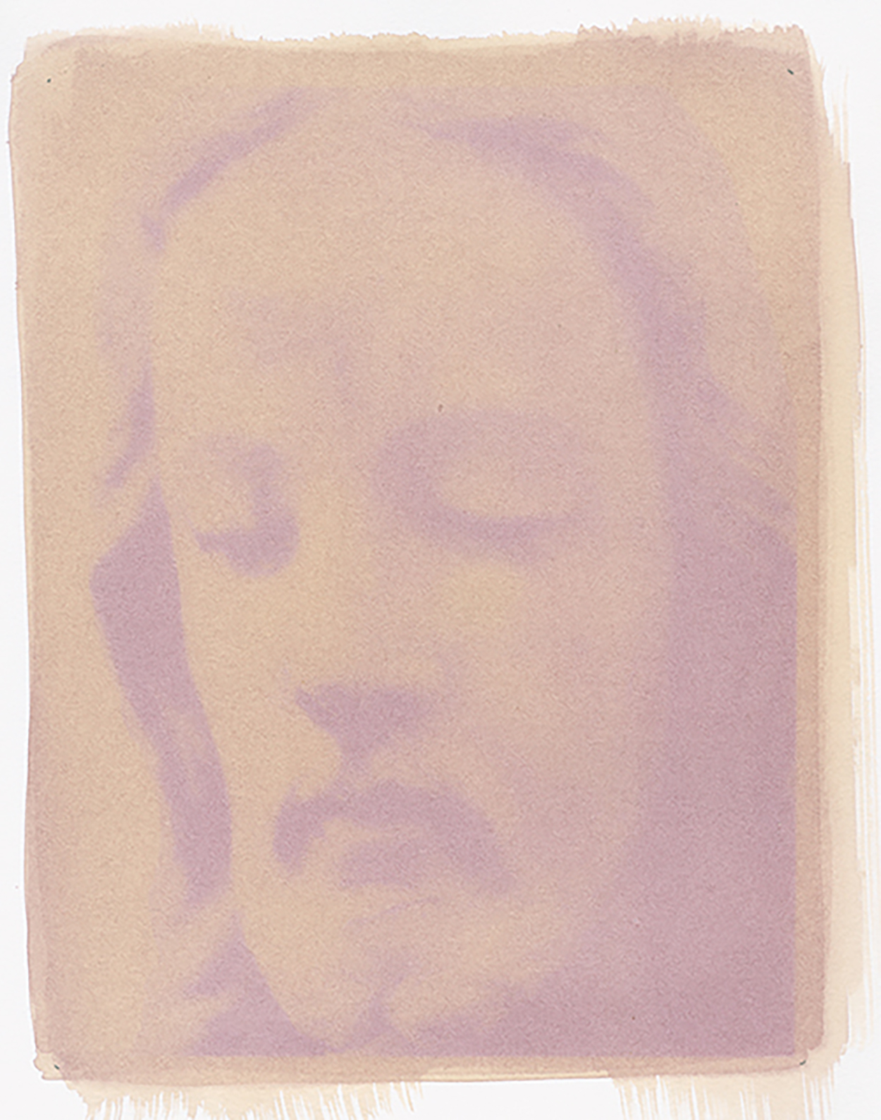 Cameron Young - Photographer - Anthotypes